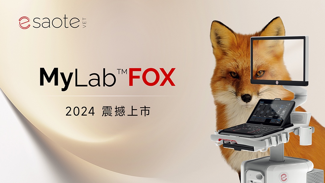 探索未知，见所未见-Esaote百胜医疗-百胜超声-激光消融